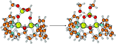 Theoretical investigation of the reaction mechanism for the phosphate ...