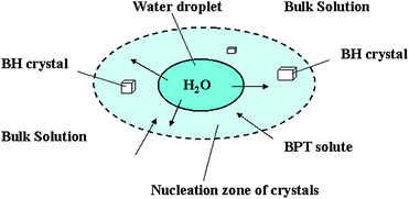 Strategy for control of crystallization of polymorphs - CrystEngComm ...