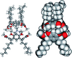 The role of cation⋯π interactions in capsule formation: co-crystals of ...