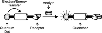 Electron and energy transfer mechanisms to switch the luminescence of ...