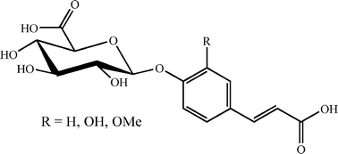 Synthesis of hydroxycinnamic acid glucuronides and investigation of ...
