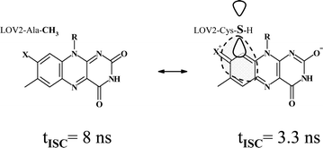 Perturbation of the ground-state electronic structure of FMN by the ...