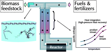 Thermochemical biofuel production in hydrothermal media: A review of ...