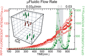 Jamming prokaryotic cell-to-cell communications in a model biofilm ...