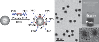 A new family of biocompatible and stable magnetic nanoparticles: silica ...