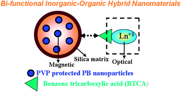 Construction of bi-functional inorganic–organic hybrid nanocomposites ...