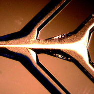 Decomplexing biofluids using microchip based acoustophoresis - Lab on a ...