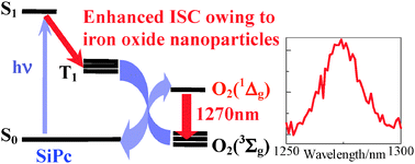 Photophysical and magnetic properties of magnetic silica gel-supported ...