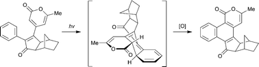 A natural light induced regioselective 6π-electrocyclisation–oxidative ...