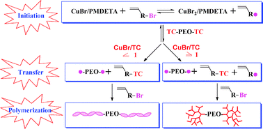 A facile strategy to control polymer topology by variation of ...