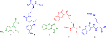 Fluorescent labeling of peptides on solid phase - Organic ...