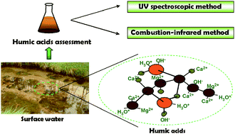 Quantification of humic acids in surface water: effects of divalent ...