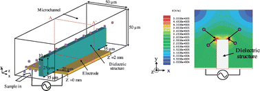 A three-dimensional (3D) particle focusing channel using the positive ...
