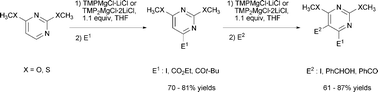 Regio- and chemoselective magnesiation of protected uracils and ...