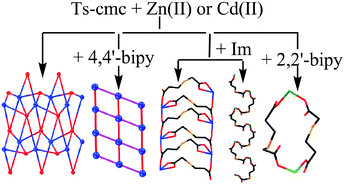 Controlling the dimensionalities and structures of homochiral Zn(ii ...