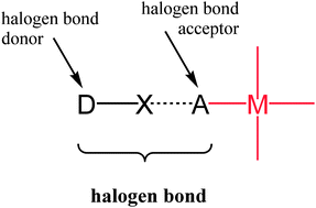 Combining metals with halogen bonds - CrystEngComm (RSC Publishing)