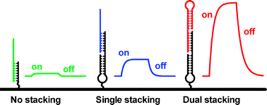Kinetics of base stacking-aided DNAhybridization - Chemical ...