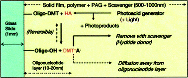 High yield detritylation of surface-attached nucleosides with photoacid ...