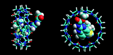 Solubilisation and cytotoxicity of albendazole encapsulated in cucurbit ...