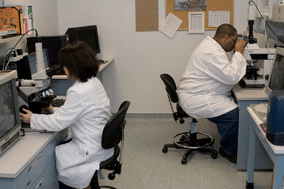 Continued participation in an asbestos fiber-counting proficiency test ...