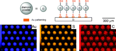 Photochemical modification of diamond powders with elemental sulfur and ...