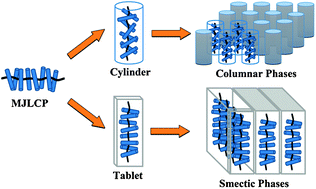Mesogen-jacketed liquid crystalline polymers - Chemical Society Reviews ...