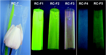 Properties and applications of biodegradable transparent and ...
