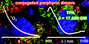 Photophysical properties and intracellular imaging of water-soluble ...
