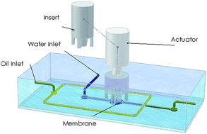 A microfluidic droplet generator based on a piezoelectric actuator ...