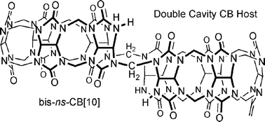 Cucurbit[n]urils: from mechanism to structure and function - Chemical ...