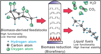 The critical role of heterogeneous catalysis in lignocellulosic biomass ...
