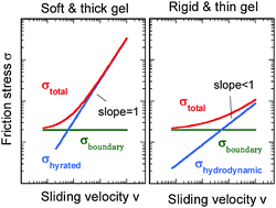 Friction between like-charged hydrogels—combined mechanisms of boundary ...