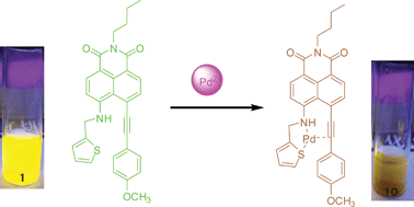 Highly sensitive and selective Pd2+ sensor of naphthalimide derivative ...