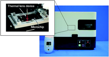 A micro-ELISA system for the rapid and sensitive measurement of total ...