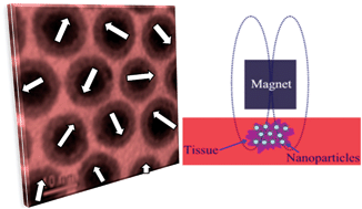 Magnetic nanoparticles: synthesis, functionalization, and applications ...
