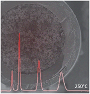High temperature liquid chromatography with monolithic capillary ...