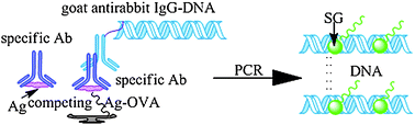 Determination of fluoranthene by antigen-coated indirect competitive ...