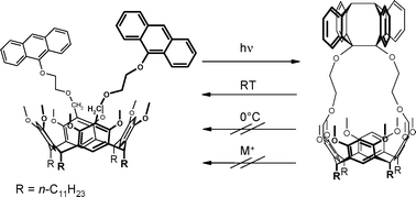 Photochromic resorcin[4]arenes: stabilization of intramolecular ...