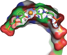 Metal-mediated base pairing within the simplified nucleic acid GNA ...