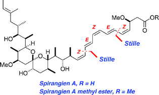 Total synthesis of (−)-spirangien A and its methylester - Chemical ...