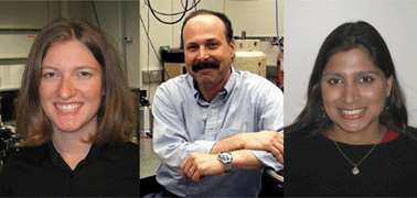 Optofluidics: field or technique? - Lab on a Chip (RSC Publishing)