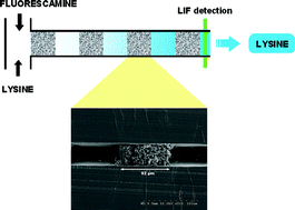 Use of photopatterned porous polymer monoliths as passive micromixers ...