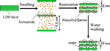 Topotactic intercalation of a bulky organic anion (thiacalix[4]arene ...