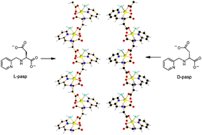 Infinite chiral single-helical structures formed by the self-assembly ...