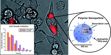 Synthesis and in vitro activity of ROMP-based polymer nanoparticles ...