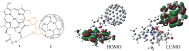 Zn pyro-pheophorbide a—fulleronicotine dyad; supramolecular self ...