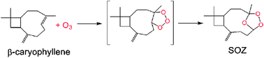The gas-phase ozonolysis of β-caryophyllene (C15H24). Part I: an ...