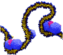 Multiscale modeling of emergent materials: biological and soft matter ...
