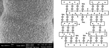 Tin(iv) phosphonates: porous nanoparticles and pillared materials ...