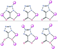 Coordination chemistry of tetrazolate-5-carboxylate with manganese(ii ...